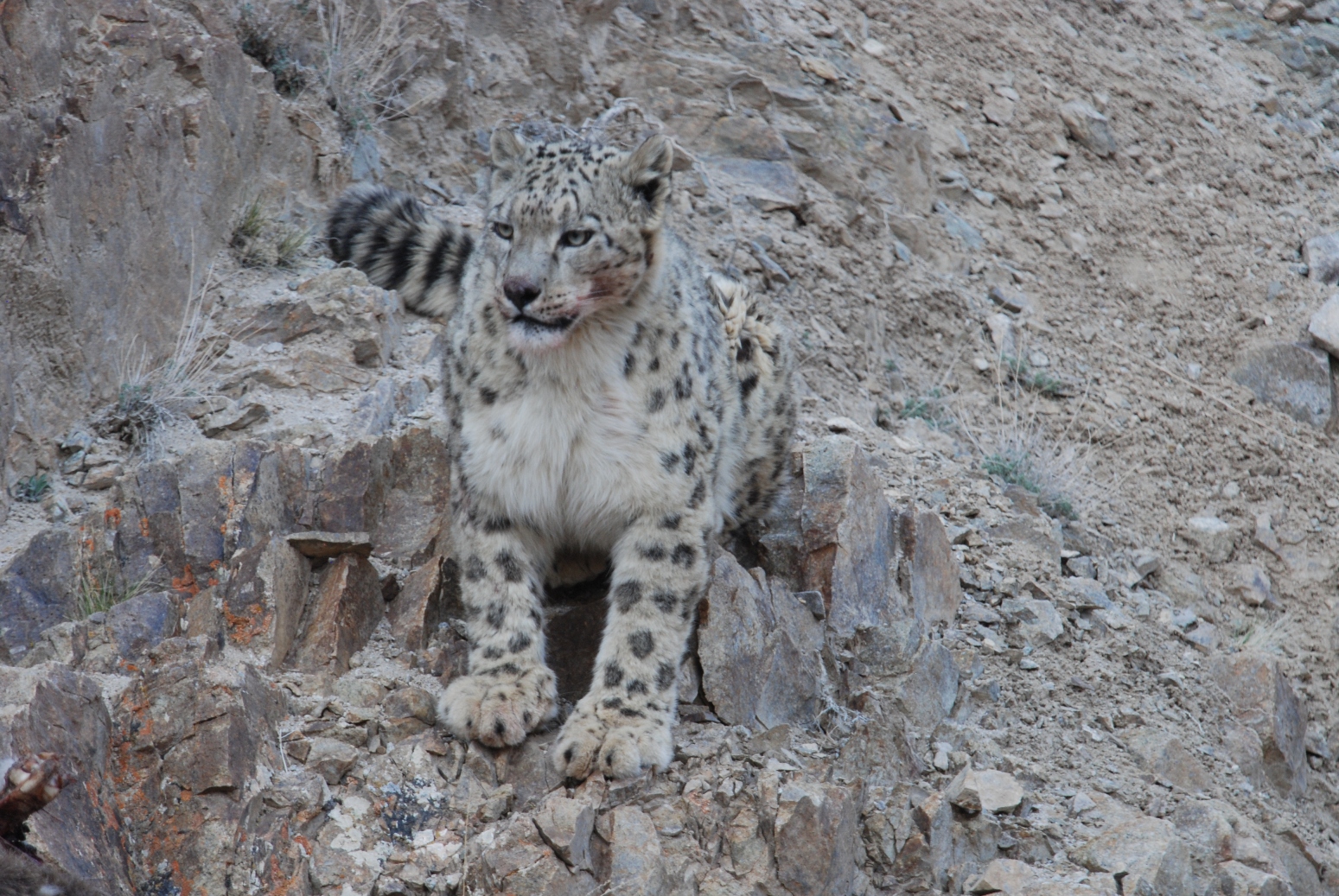 Adventure Travel and Cultural Tours in Nepal, Bhutan, India